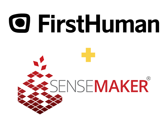 Introducing SenseMaker for Culture Change - FirstHuman
