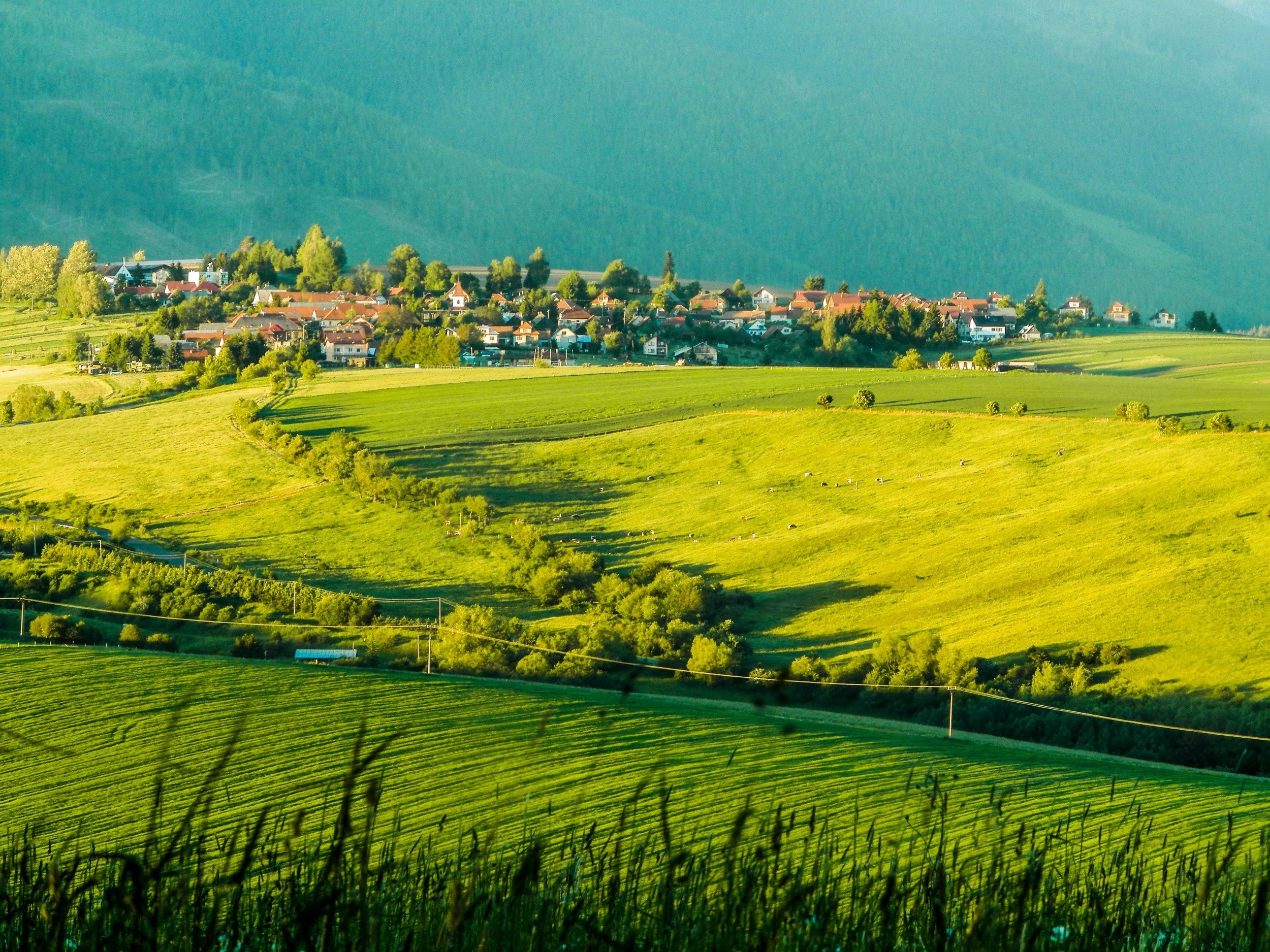 A tale of two villages - a lesson for making sense of the workplace ...